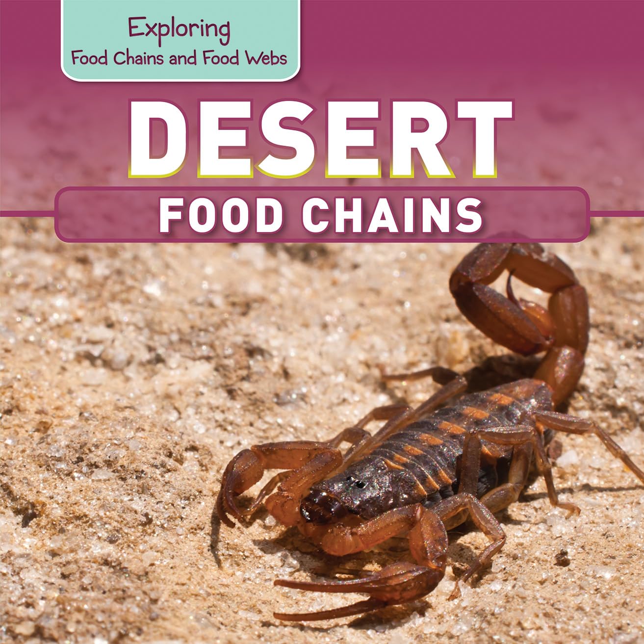 Desert Food Chains (Exploring Food Chains and Food Webs): Kawa, Katie ...
