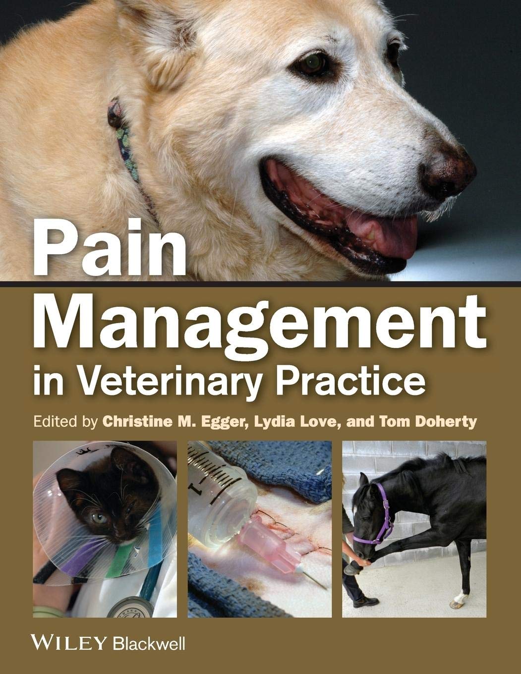 Pain Management in Veterinary Practice: 9780813812243: Medicine ...