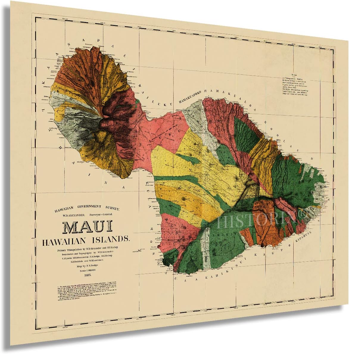 Amazon.com: HISTORIX Vintage 1885 Map of Maui Hawaii - 24x30 Inch ...