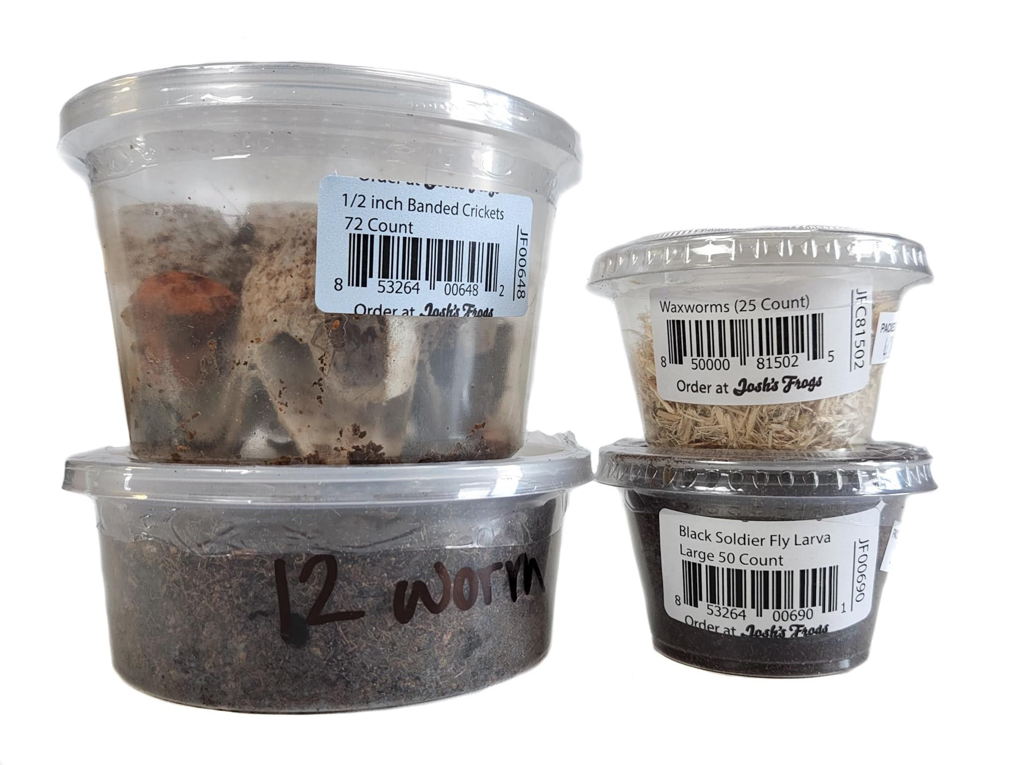 Amazon.com : Josh's Frogs Pac-Man Frog Live Feeder Bundle : Pet Supplies