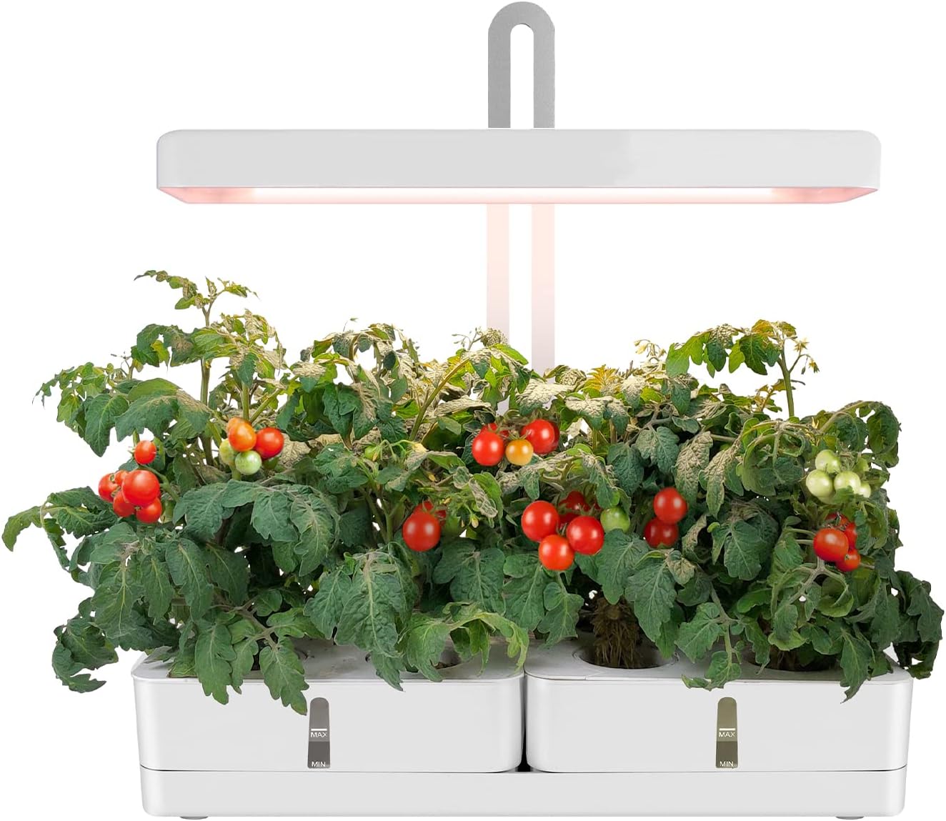 Amazon.com : J&C Hydroponics Growing System, Indoor Herb Garden with 2 ...