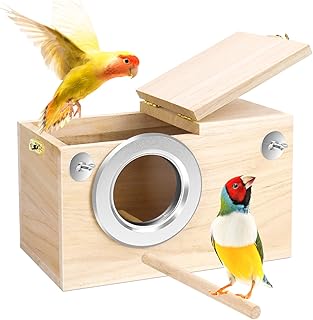 Creating The Perfect Budgie Bird Nest: A Step-By-Step Guide | PetShun