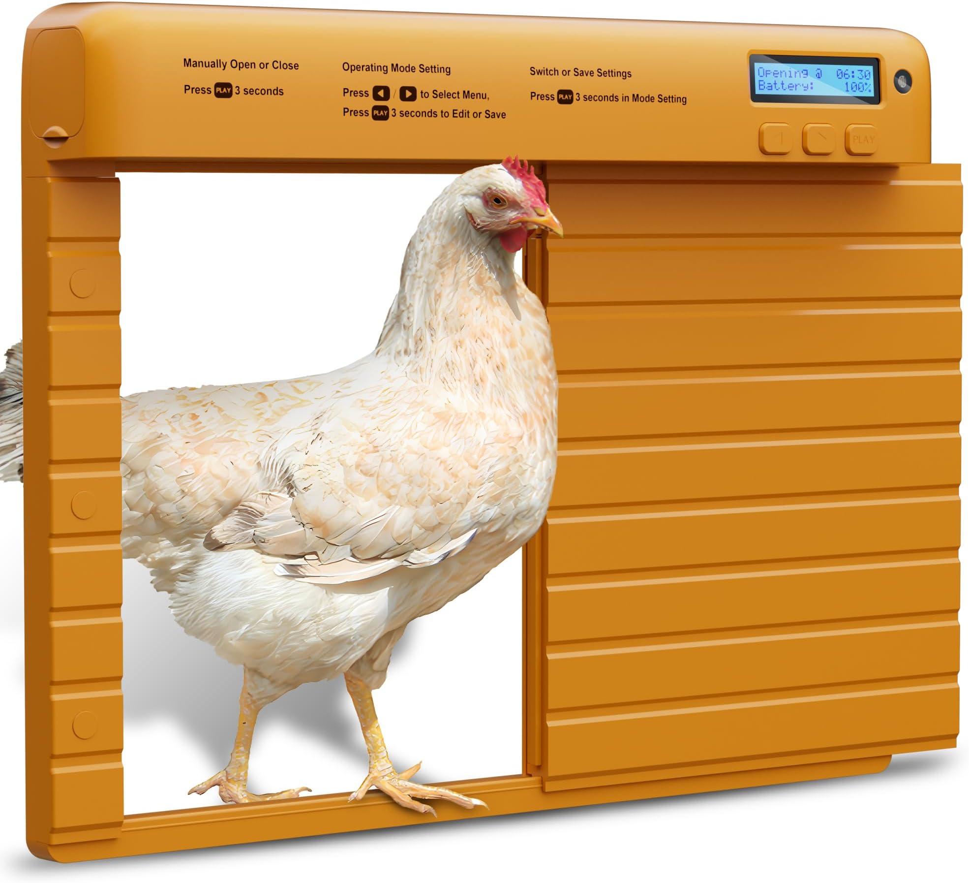 Amazon.com: Automatic Chicken Coop Door Battery Powered with Timer ...