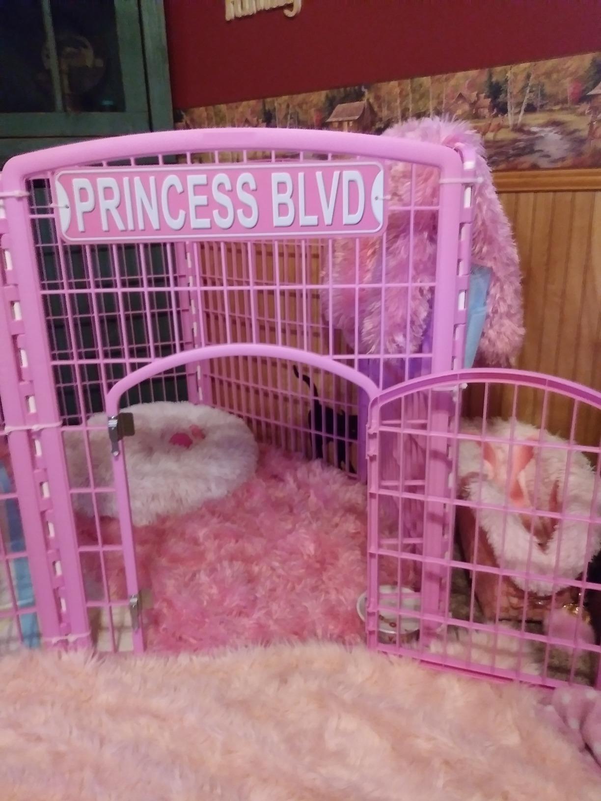 Amazon.com: Princess Blvd Boulevard Sign - Plastic Wall Door Street ...