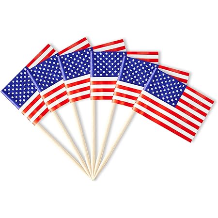 Amazon.com | Usa Flag American Miniature Toothpick Flags Decorations ...