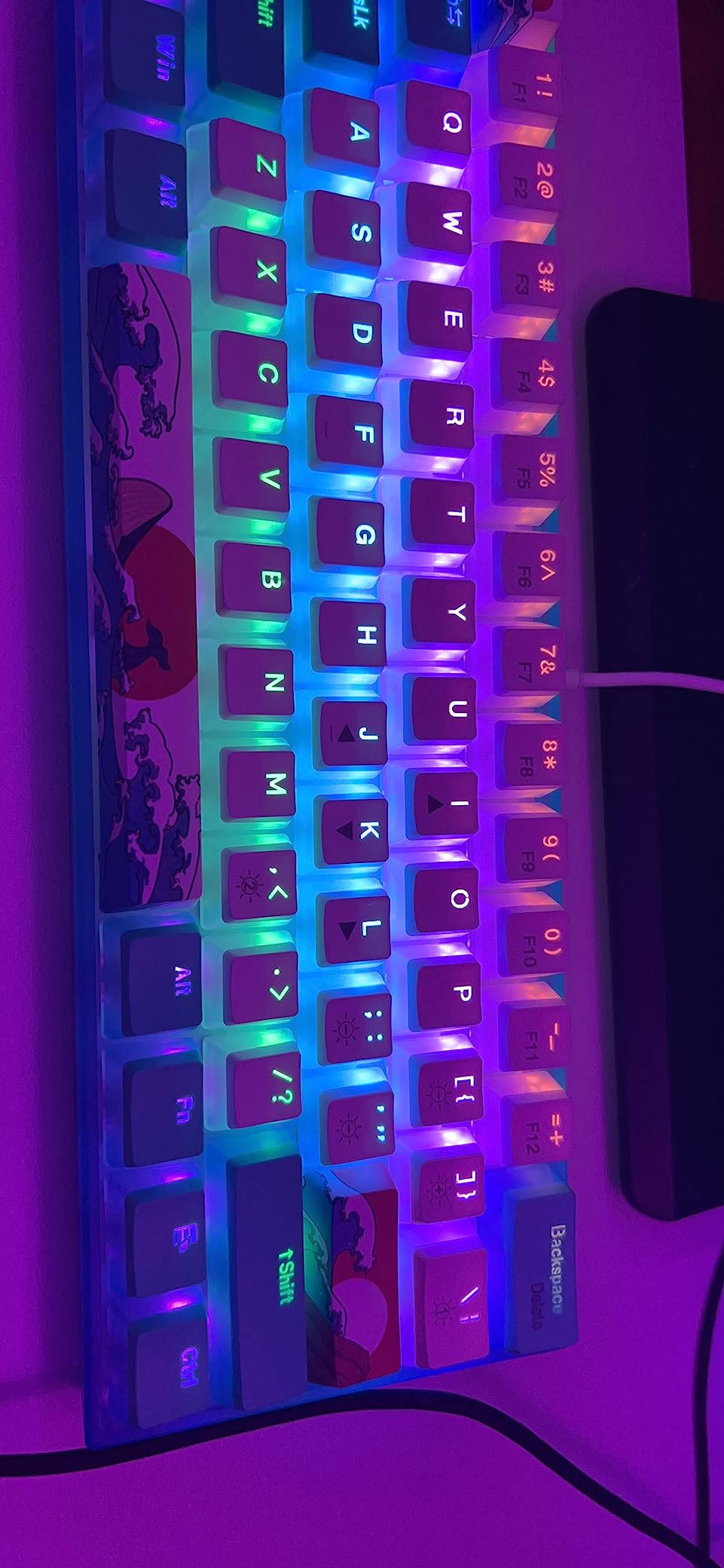$9/mo - Finance Womier 60% Percent Keyboard, WK61 Mechanical RGB Wired ...