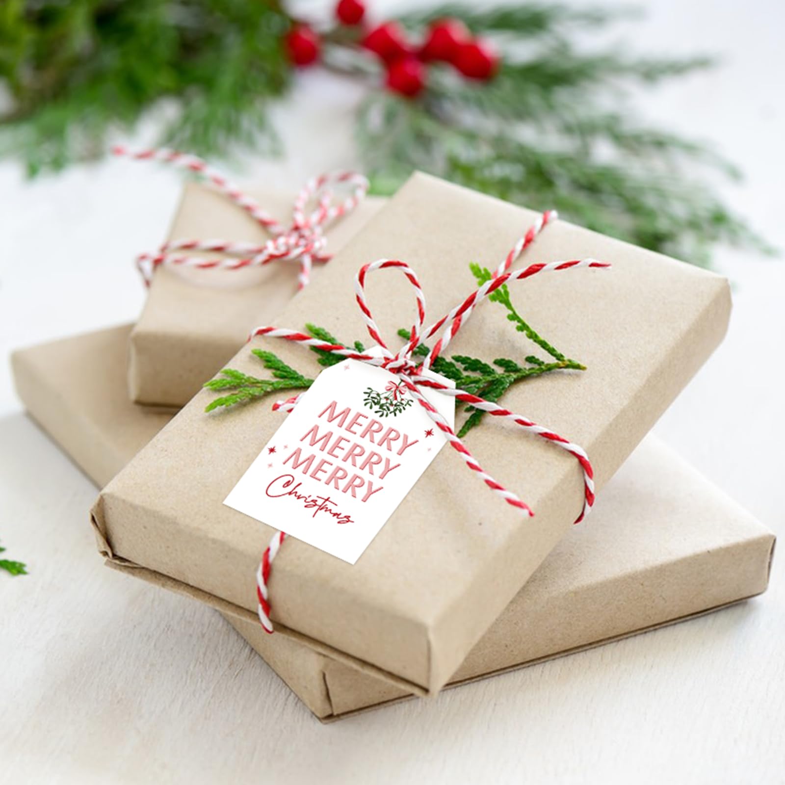 Snapklik.com : Anwyll Christmas Gift Tags