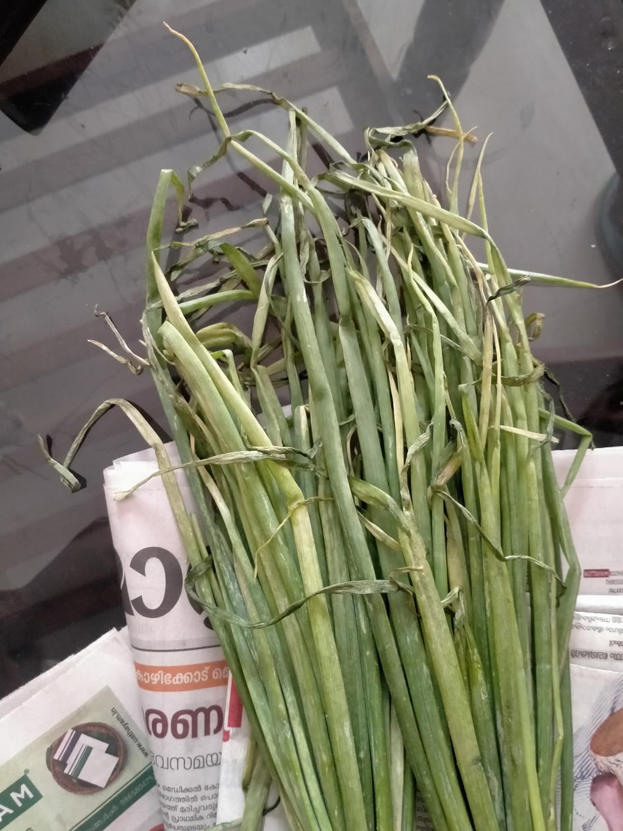 Fresh Spring Onion, 100g : Amazon.in: Grocery & Gourmet Foods