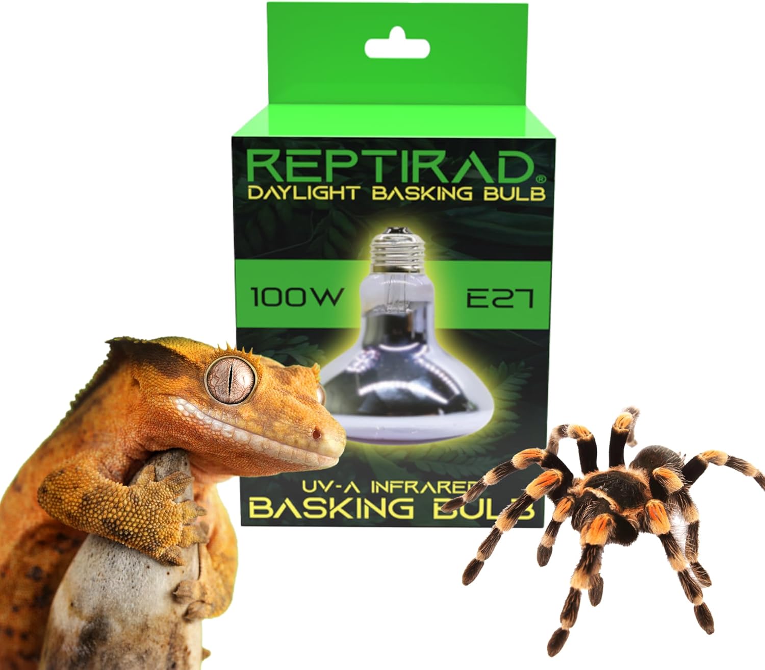 Retics & Reptiles REPTIRAD Daylight Basking Bulb for Pets, E27 100W UVA ...