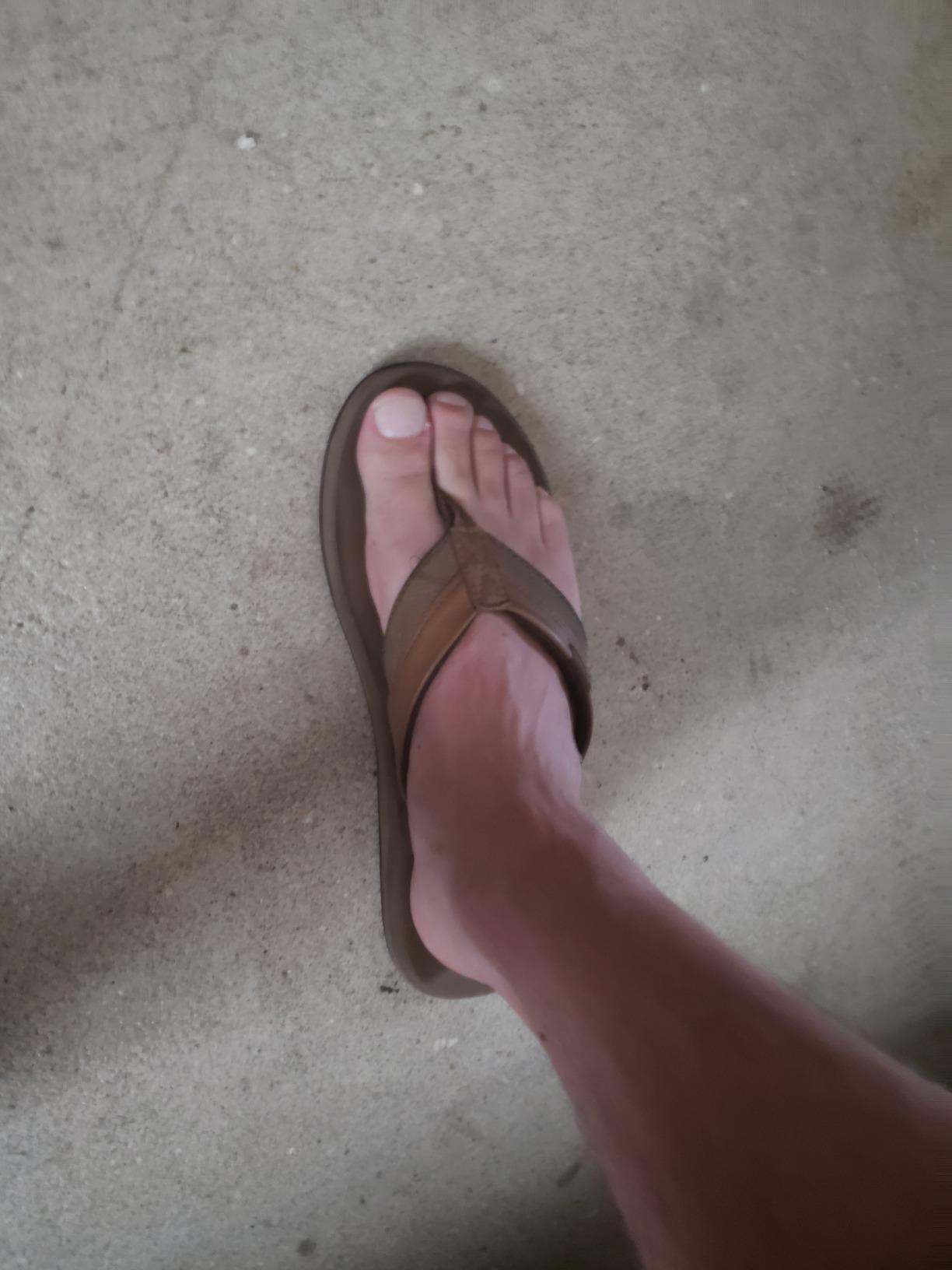 Amazon.com | Flojos Men's Ryan Flip-Flop | Sandals