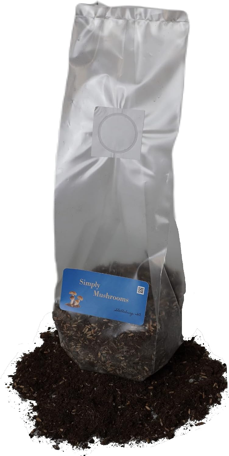 Amazon.com : Mushroom Grow Kit - Sterilized Grain and Substrate ...