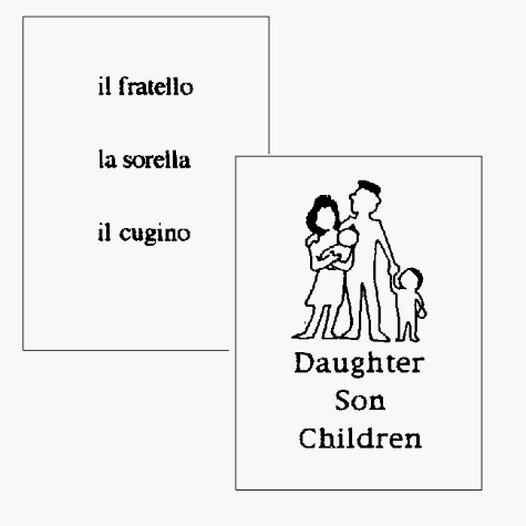 Visual Italian Vocabulary Connections (Language Express Cards) (Italian ...