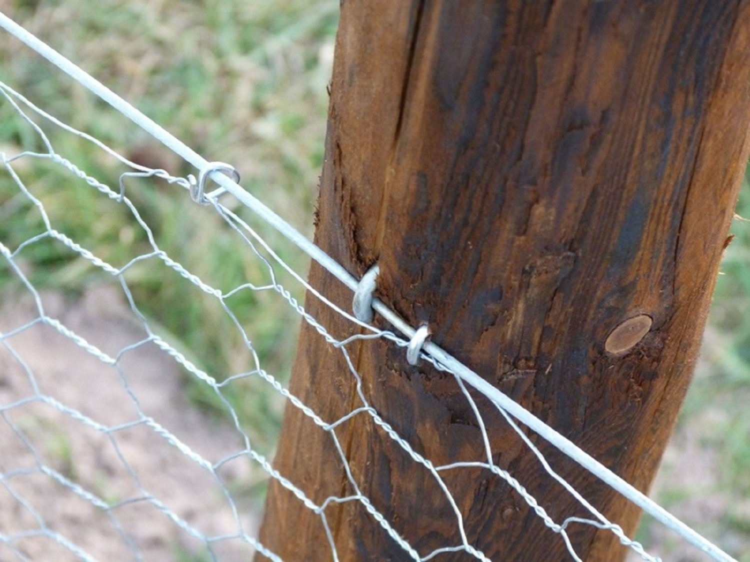 Buy Galvanised Tensioning Straining Line Wire | 3.15mm x 160m | 12 ...