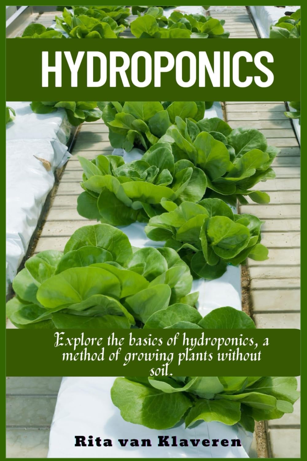 HYDROPONICS: Explore the basics of hydroponics, a method of growing ...