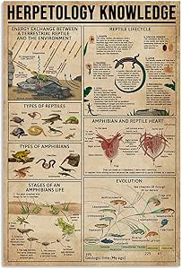 Amazon.com : Herpetology Knowledge Metal Tin Signs Herpetology ...