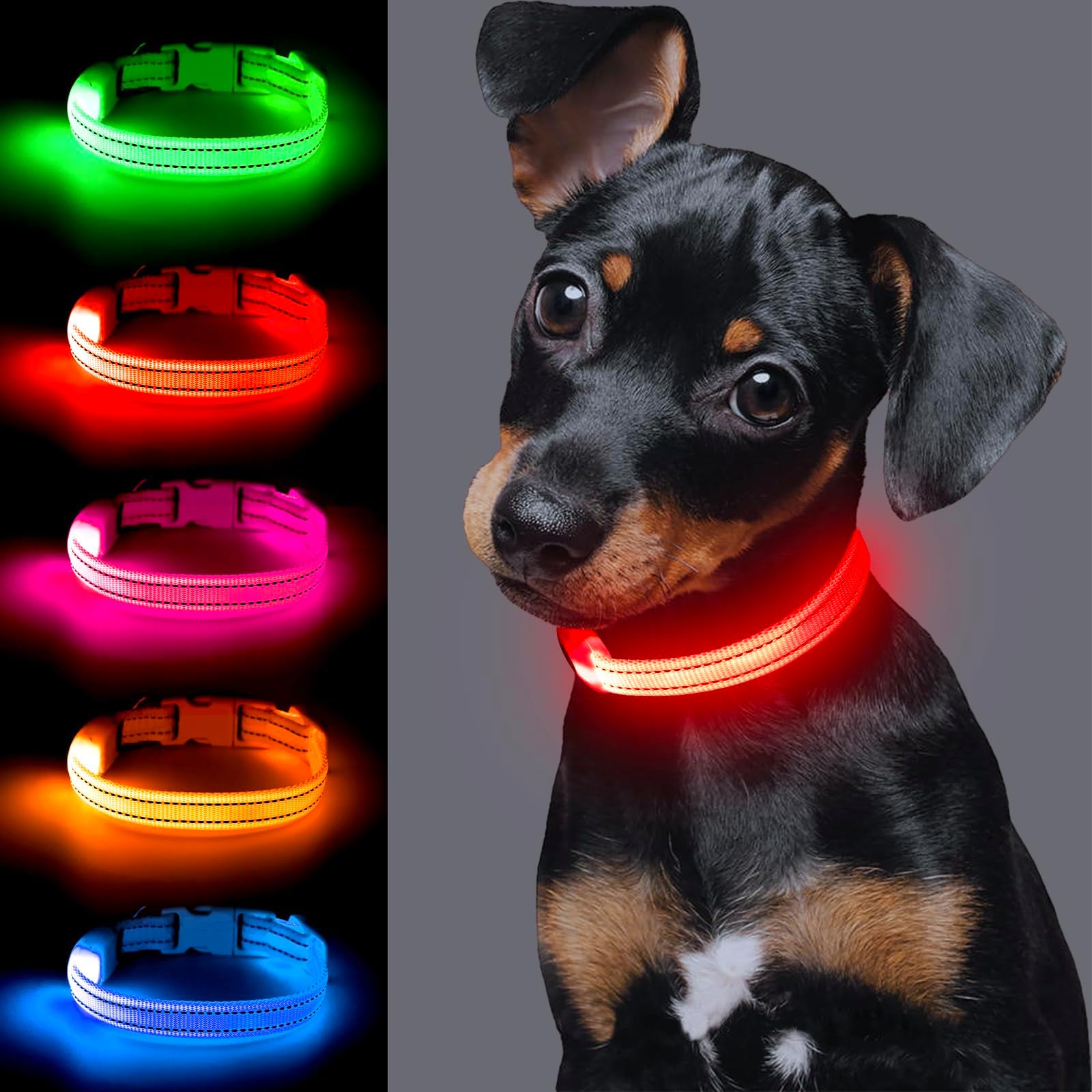Amazon.com : Leadleds Bluetooth LED Dog Collar, Flashing Light Up ...