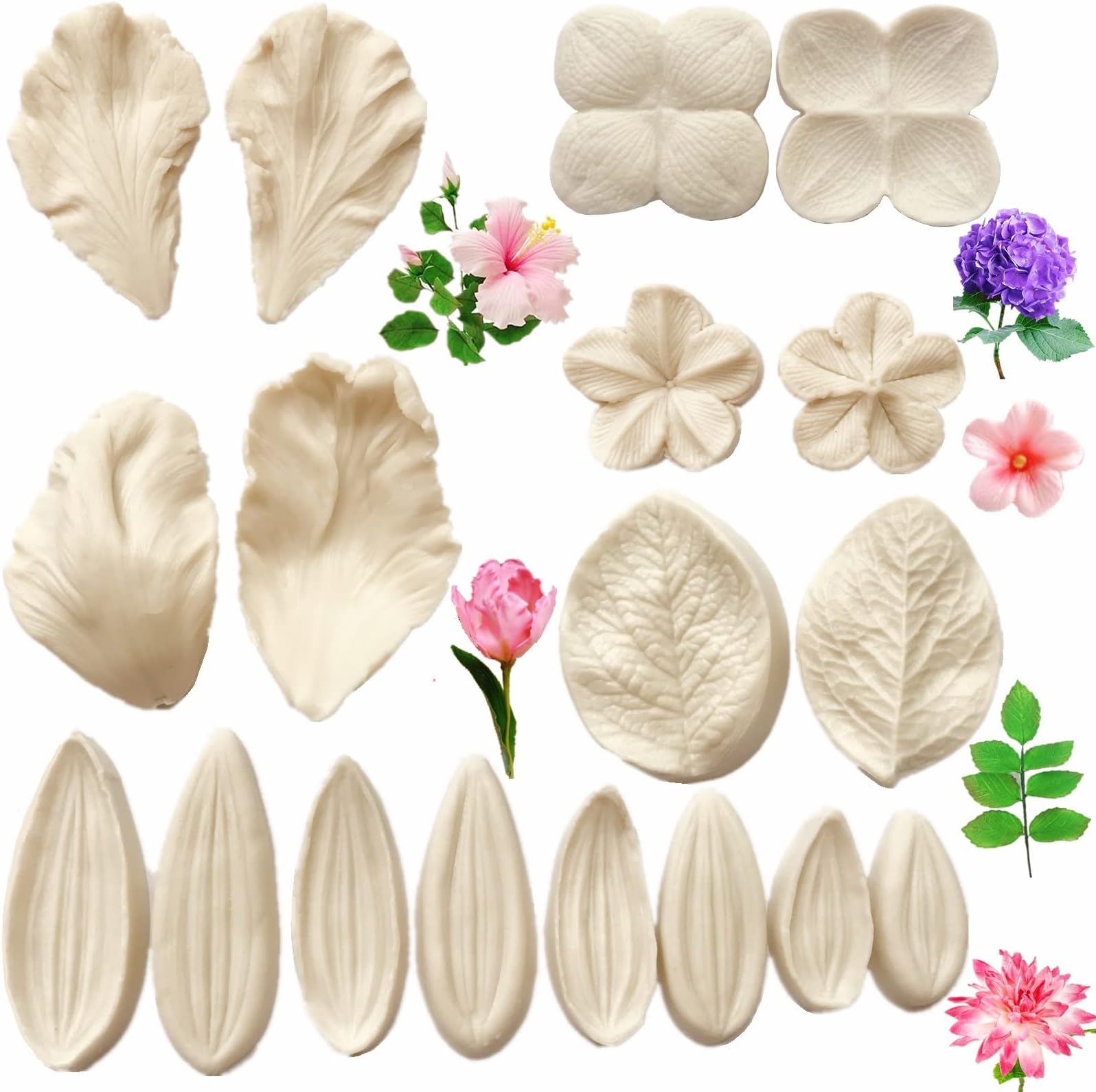 Amazon.com: Coohuapin 6set Gum Paste Flower Silicone Mold - Hydrangea ...