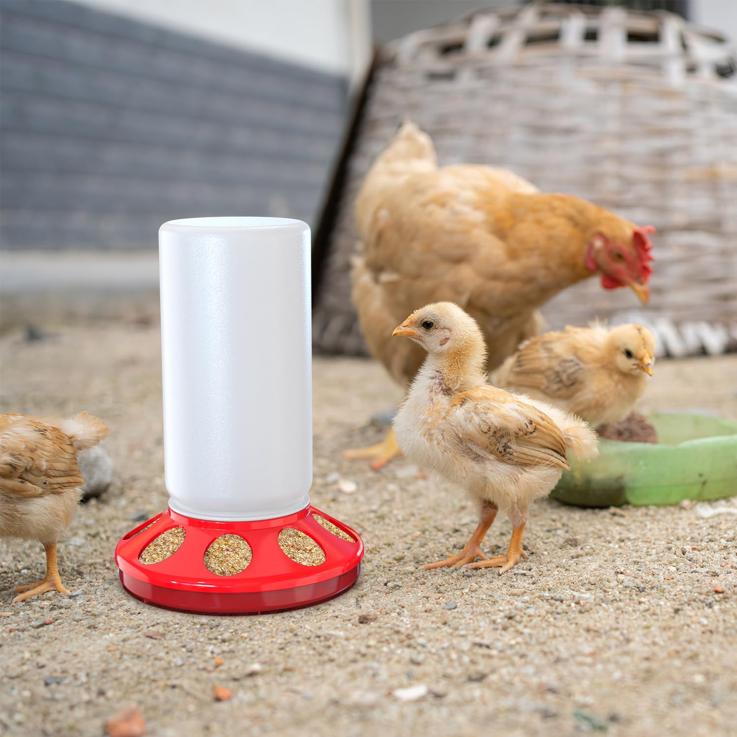 Snapklik.com : Chick Feeder And Waterer Kit, Baby Chick Starter Kit - 2 ...