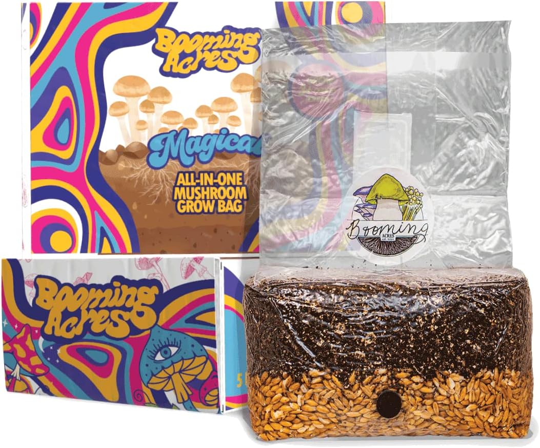 Amazon.com : Myco Labs Co2 Boost Self-Activated Mushroom Grow Bag for ...
