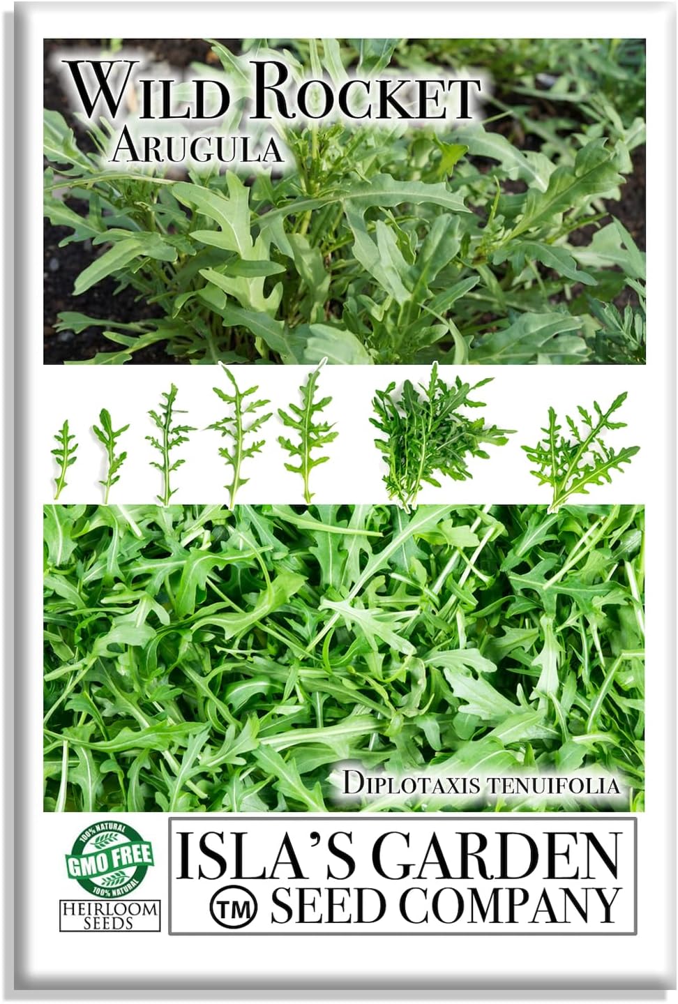 Semillas de rúcula Wild Rocket para plantar, más de 1000 semillas de ...