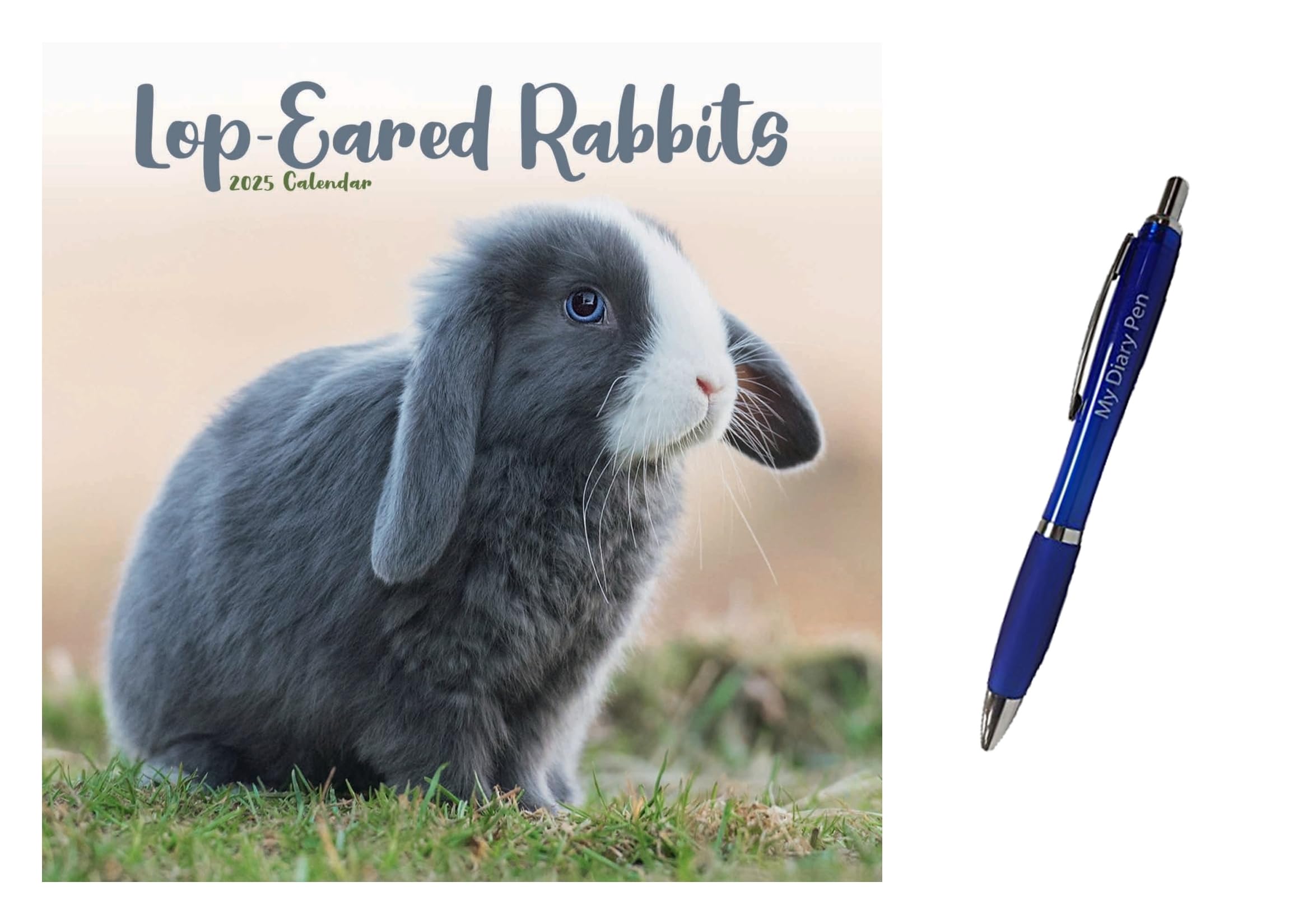 Buy Lop eared Rabbits Wall 2025 + EXCLUSIVE LIMITED EDITION PEN Online ...