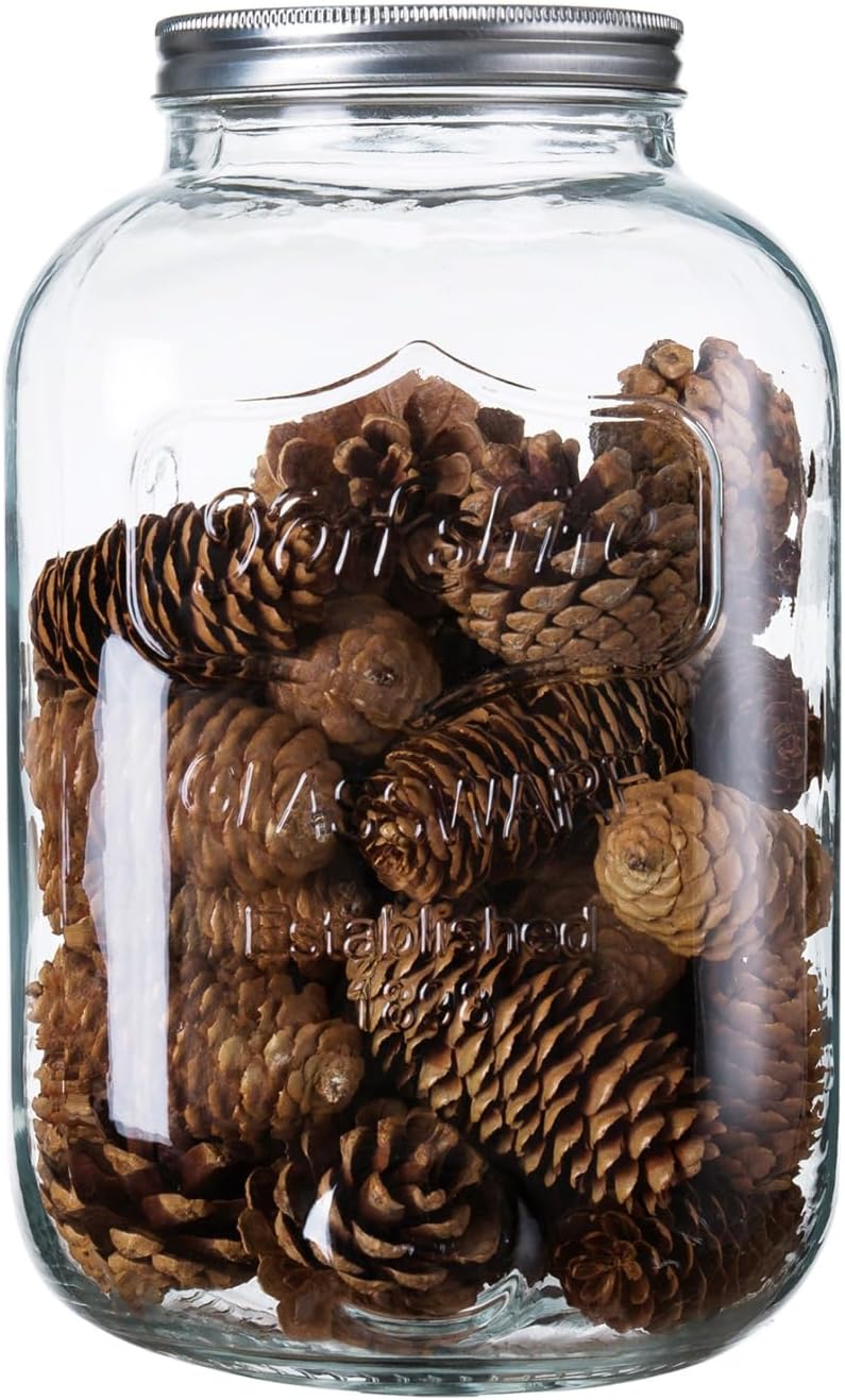 Amazon.com: 2 Gallon Mason Jar with Lid, Large Glass Jar with Wide ...