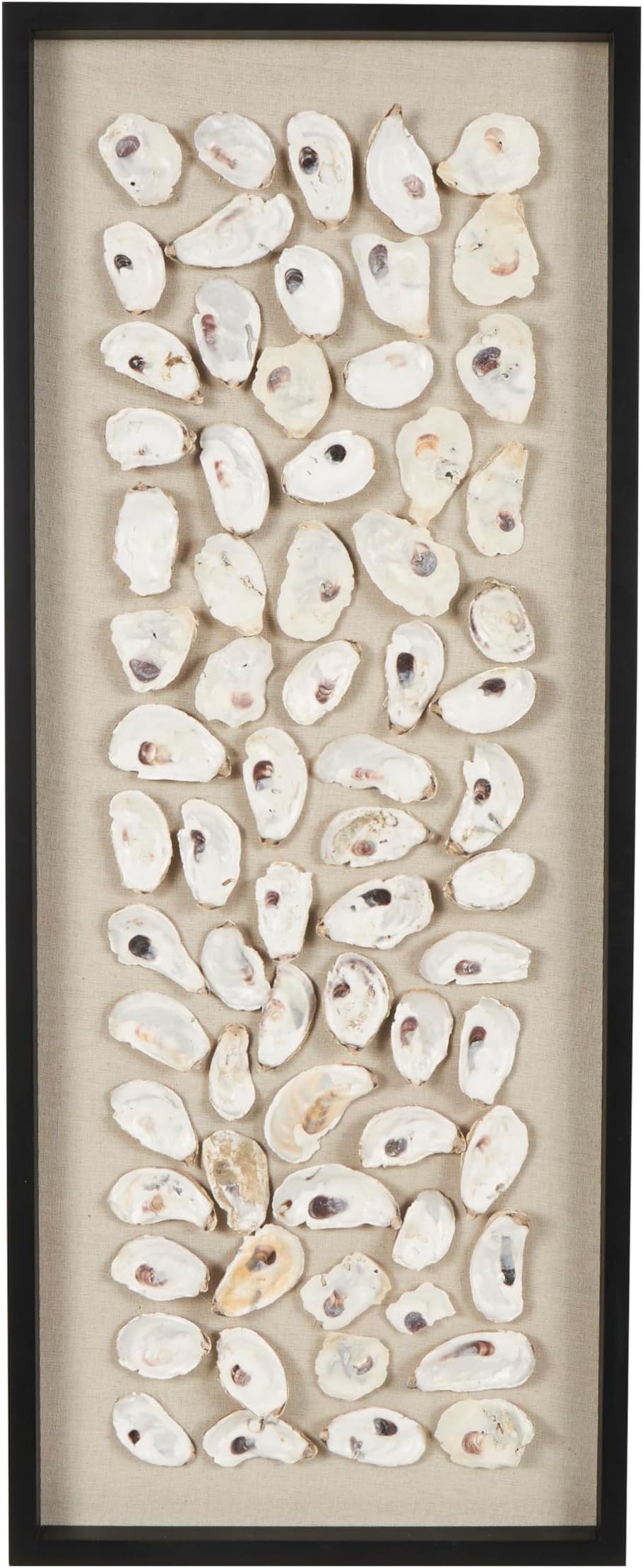 Amazon.com: Deco 79 Shell Shell Handmade Home Wall Decor Abstract Wall ...