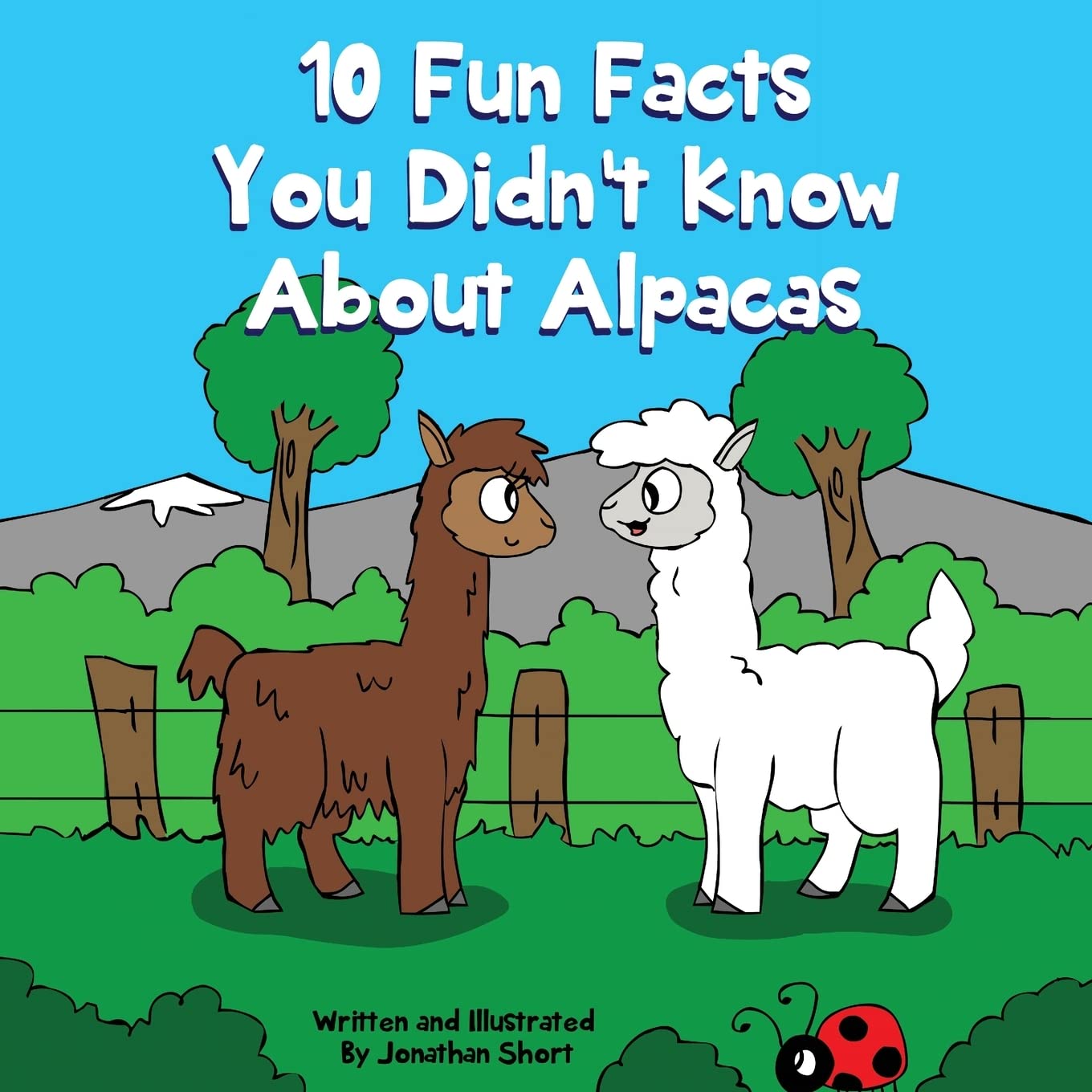 10 Fun Facts You Didnt Know About Alpacas Amazing Alpaca | Desertcart INDIA