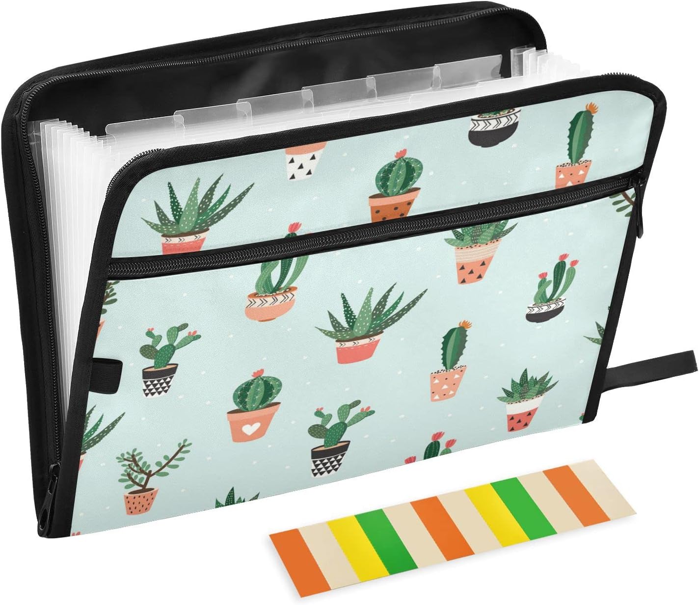 Amazon.com : Succulents Cactuses Cacti Plants Expanding File Folder ...