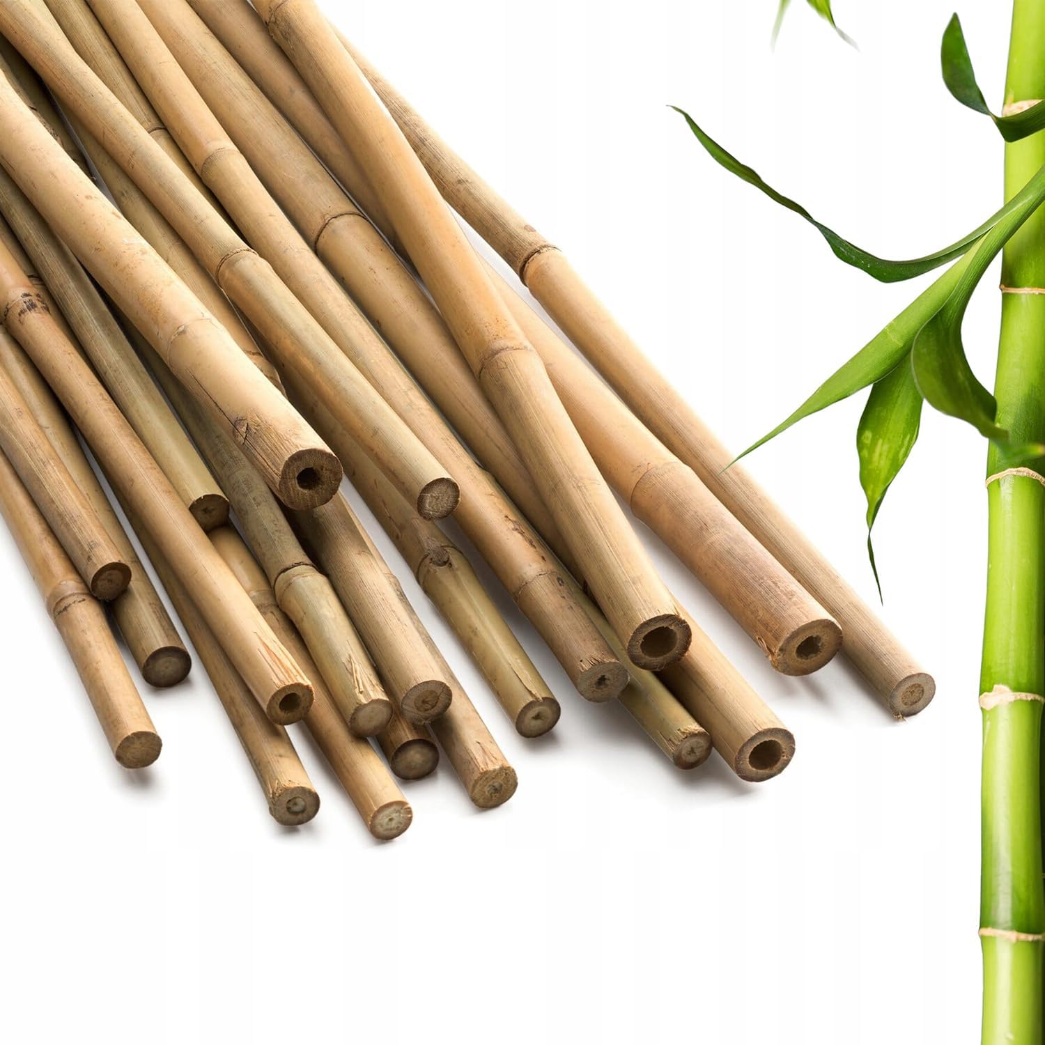 BLADO Bamboo Canes - Strong, Heavy Duty Plant Support for Gardens ...