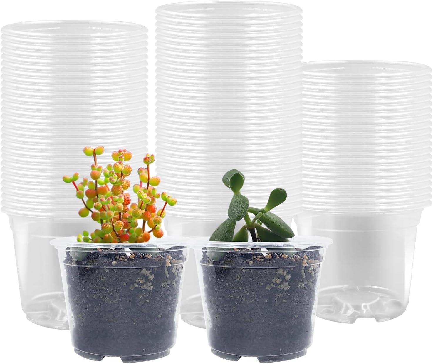 Amazon.com: wutfuooo 200 Pcs Clear Mini Plastic Plant Pot Nursery ...