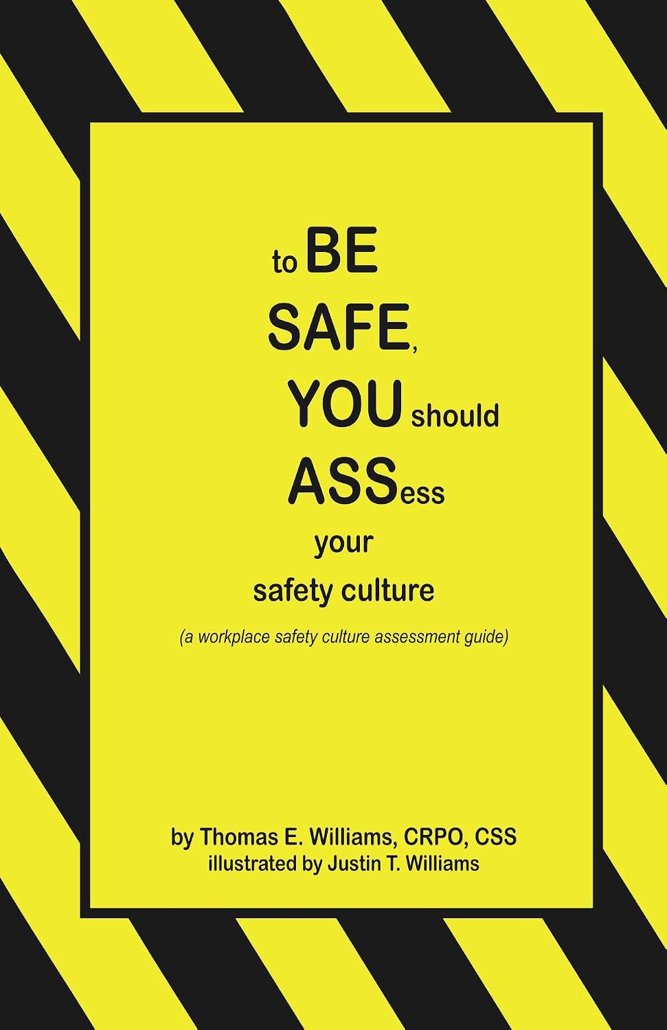 Amazon.com: to BE SAFE, YOU should ASSess your safety culture eBook ...