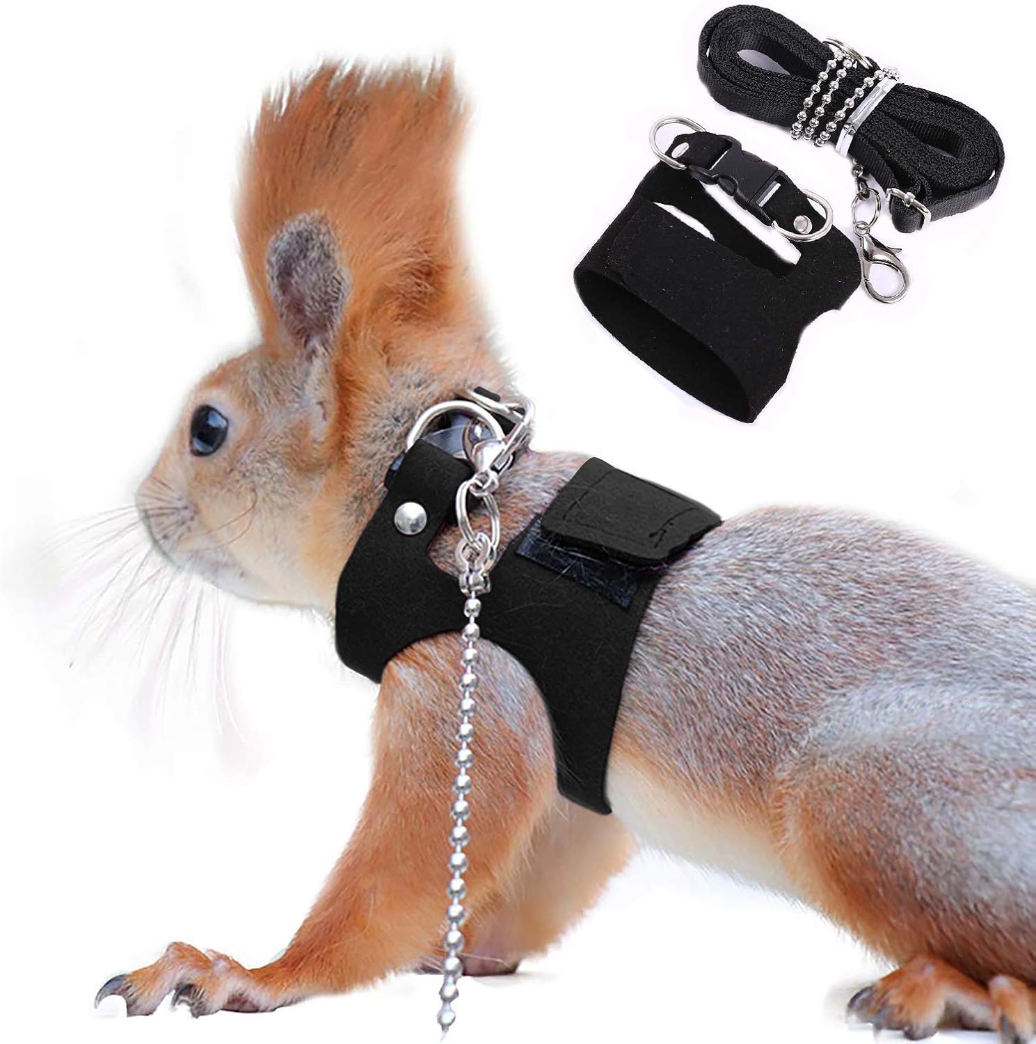 Amazon.com : Squirrel Traction Rope Strap Anti-Biting Chain Rope ...