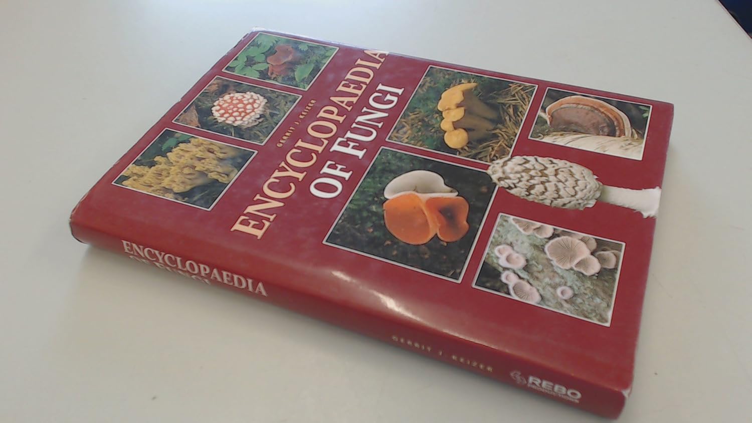 Encyclopedia of Fungi: Keizer, Gerrit J.: 9781901094213: Amazon.com: Books