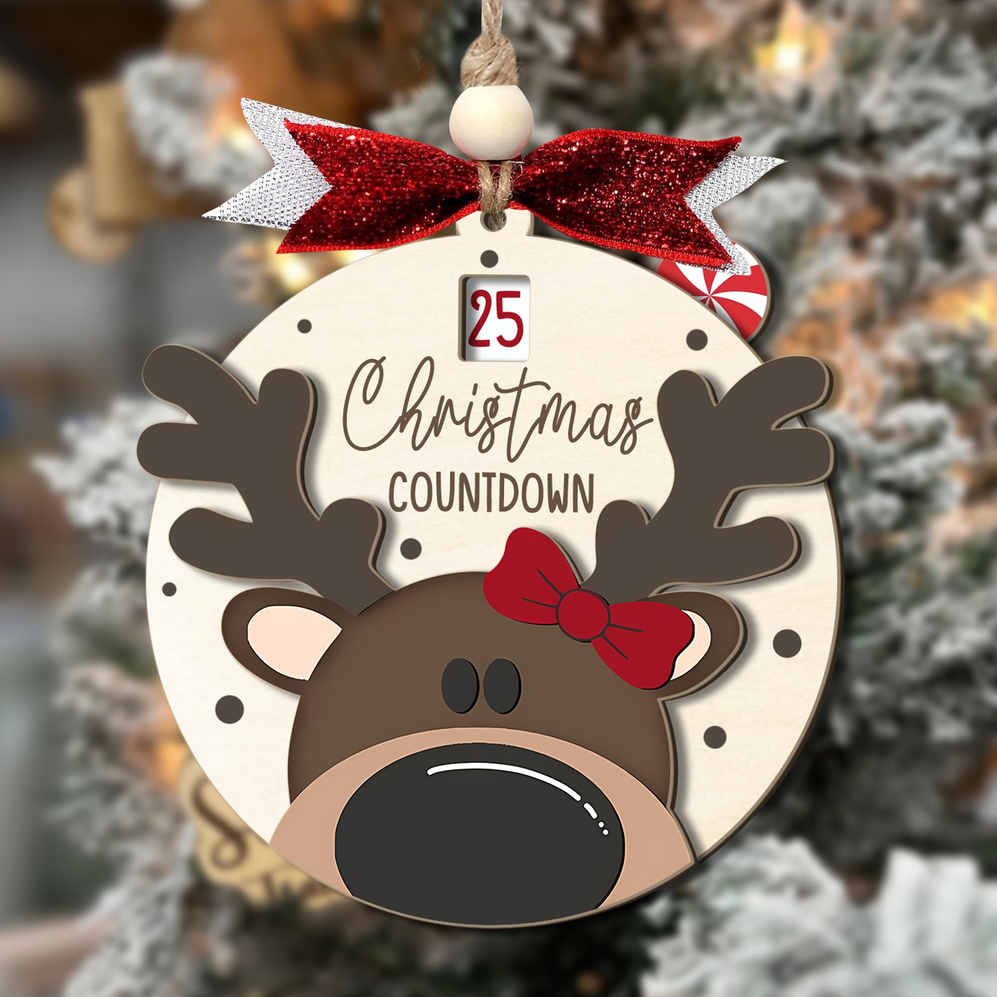 Amazon.com: Countdown Christmas Ornaments 2024, Reindeer Countdown ...