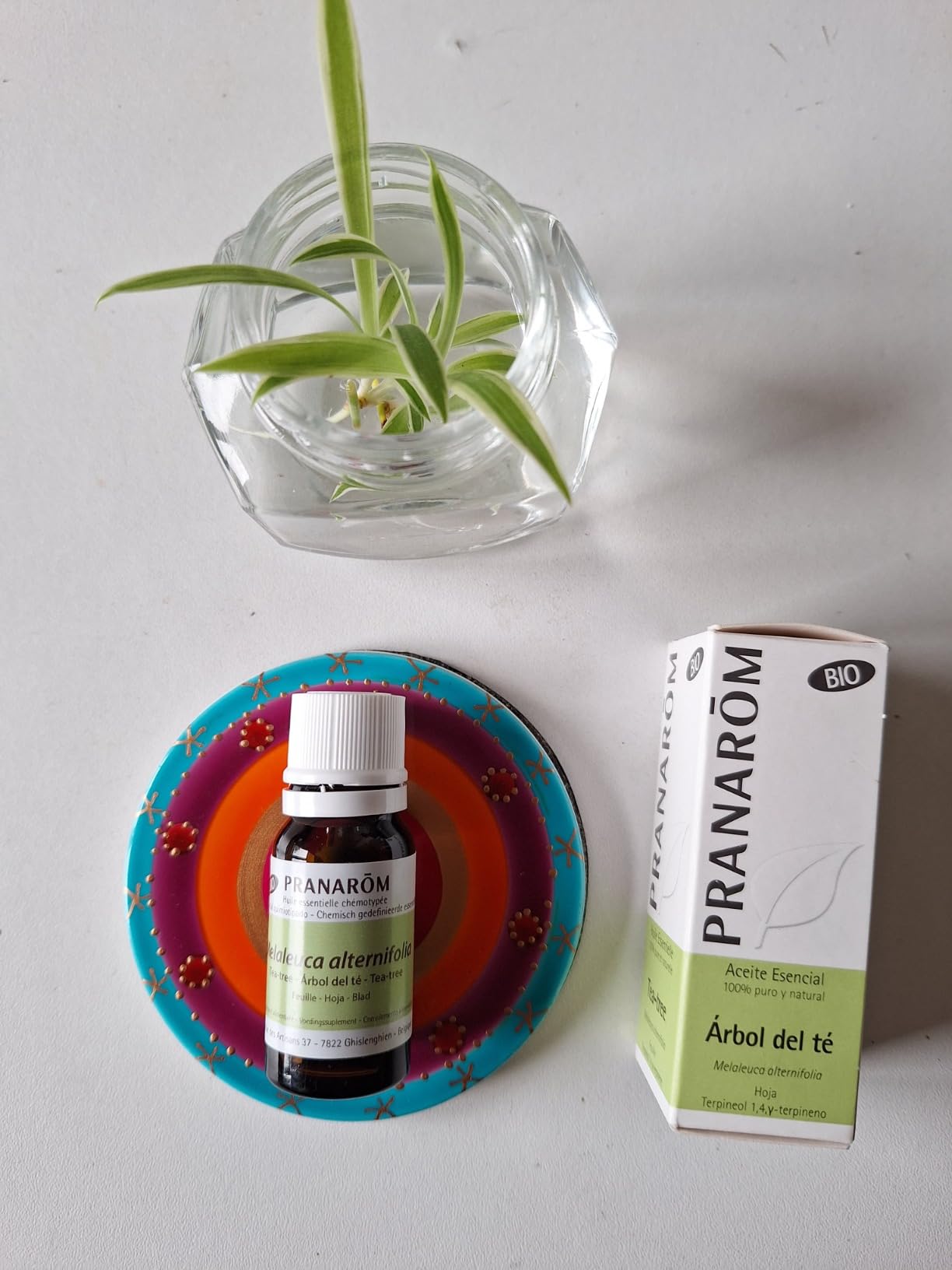 PRANARÔM - Tea Tree BIO - Huile Essentielle Chémotypée - Défenses ...