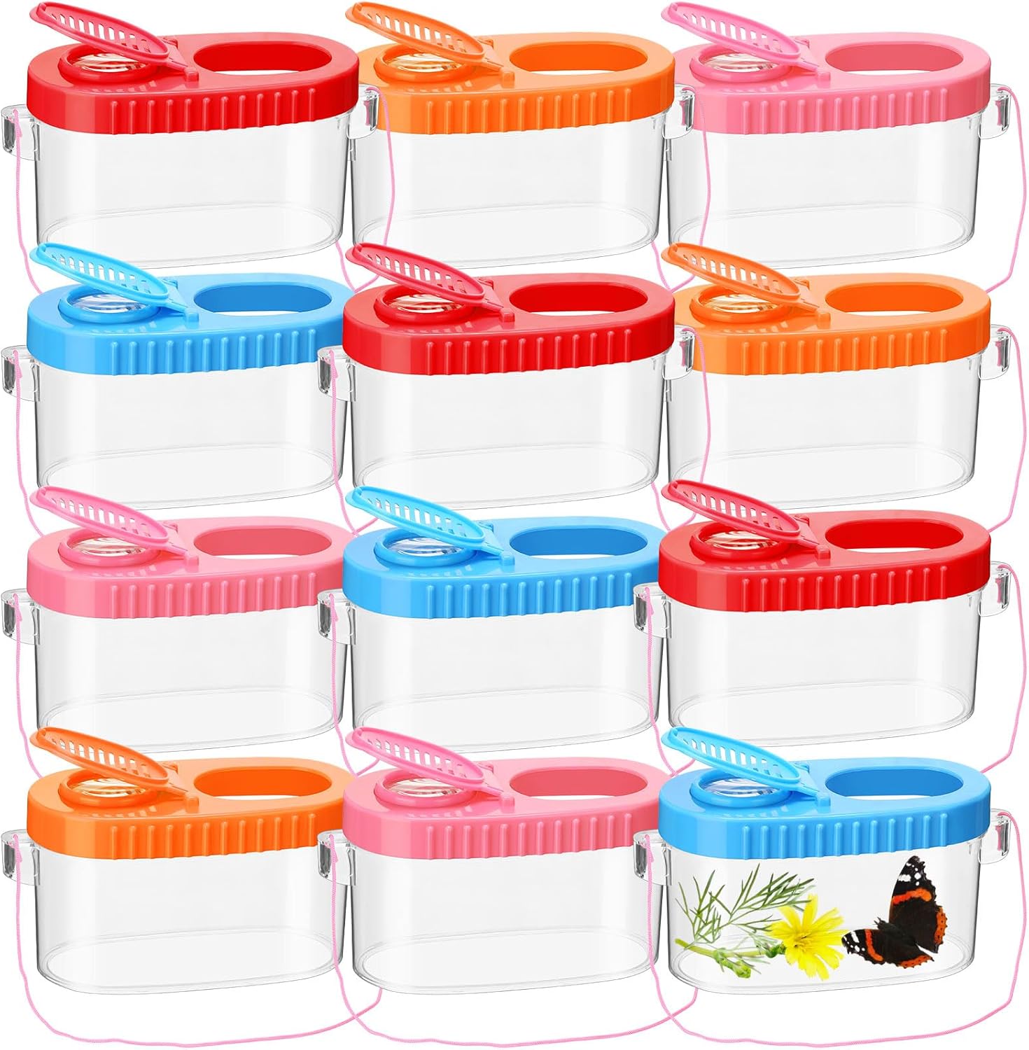 Amazon.com: Halloscume 12 Pcs Insect Bug Viewer for Kids Explorer ...