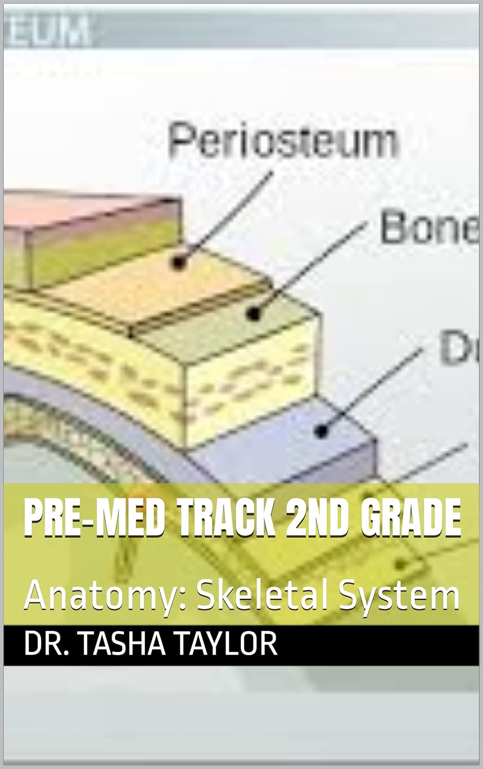 Pre-Med Track 2nd Grade: Anatomy: Skeletal System eBook : Taylor, Dr ...
