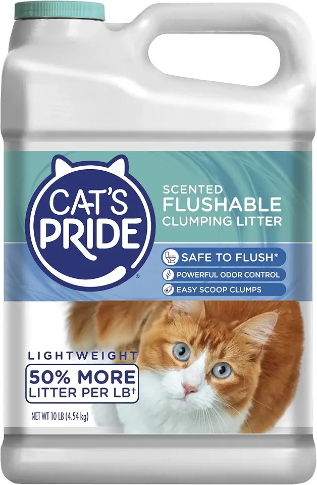 Can You Flush Cat Litter Down The Toilet: A Guide For Pet Owners | PetShun
