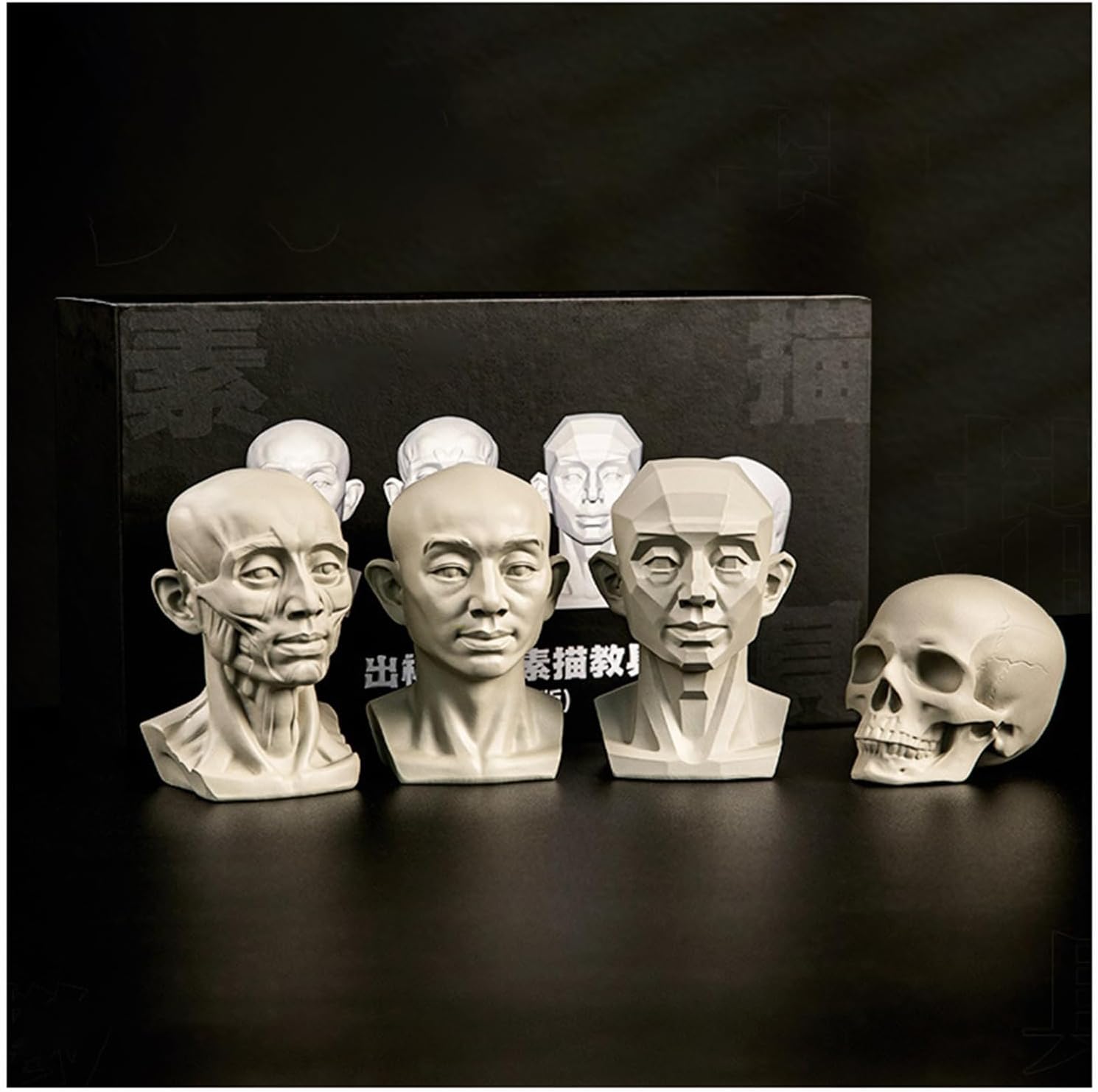 Amazon.com: 4PCS Planar Head Model for Artists Learn Planes of Face ...