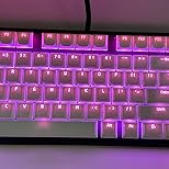 Amazon.co.jp: XVX 118キー キーキャップ PBTキーキャップ カスタムキーキャップ ロープロファイル 100%、75%、65%、60%のキーボード対応 ユニバーサルタイプ ...