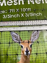 Amazon.com : Bird Netting for Garden,7x100 Feet Fruit Tree Netting for Squirrels and Birds,Bird ...