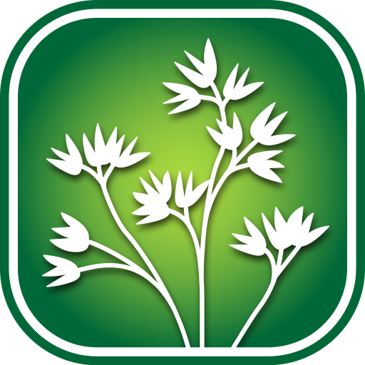 2900 Oregon Wildflowers - App on Amazon Appstore
