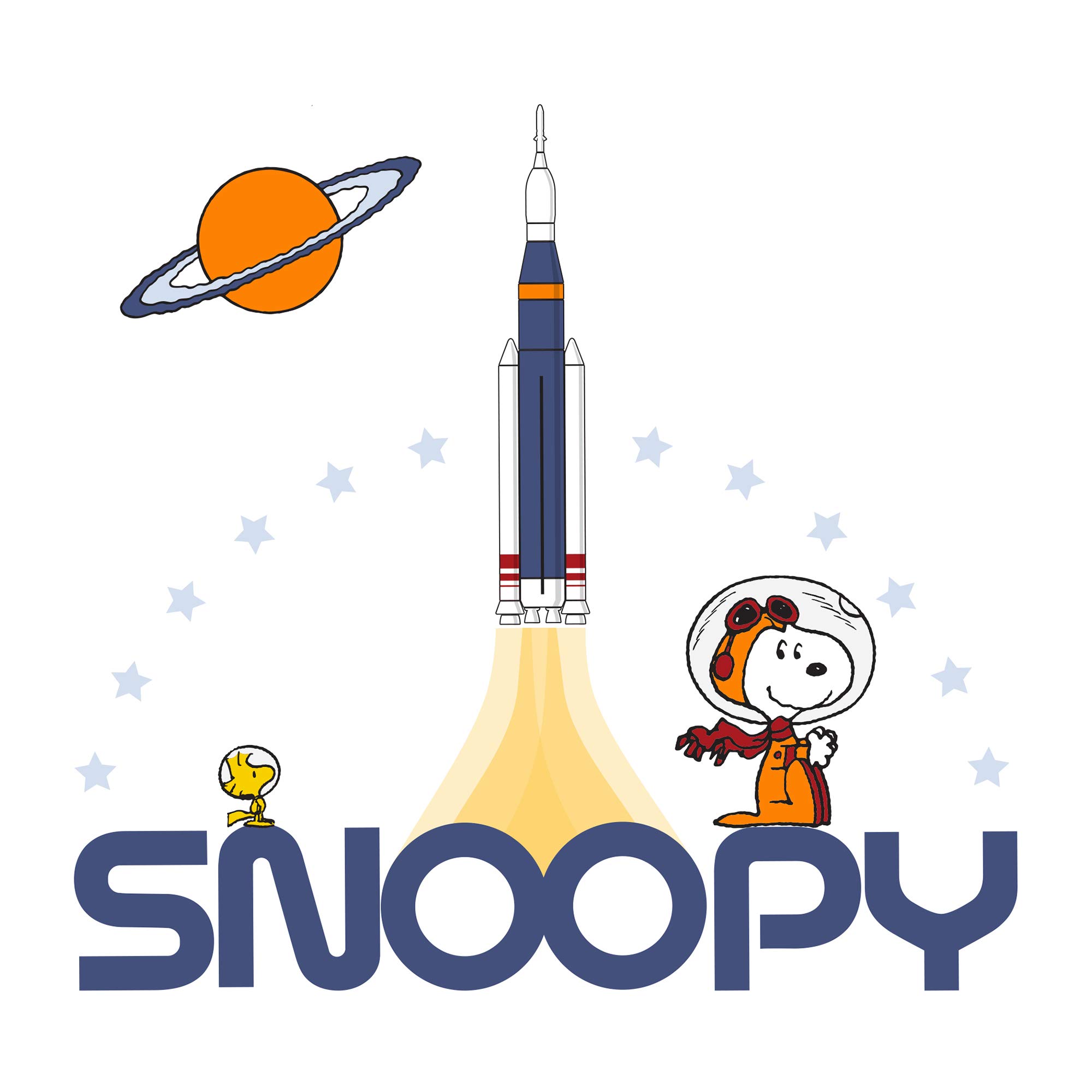 Nasa Certificate Snoopy