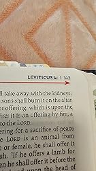 A Catholic Guide to the Old Testament - Kindle edition by Cavins, Jeff ...