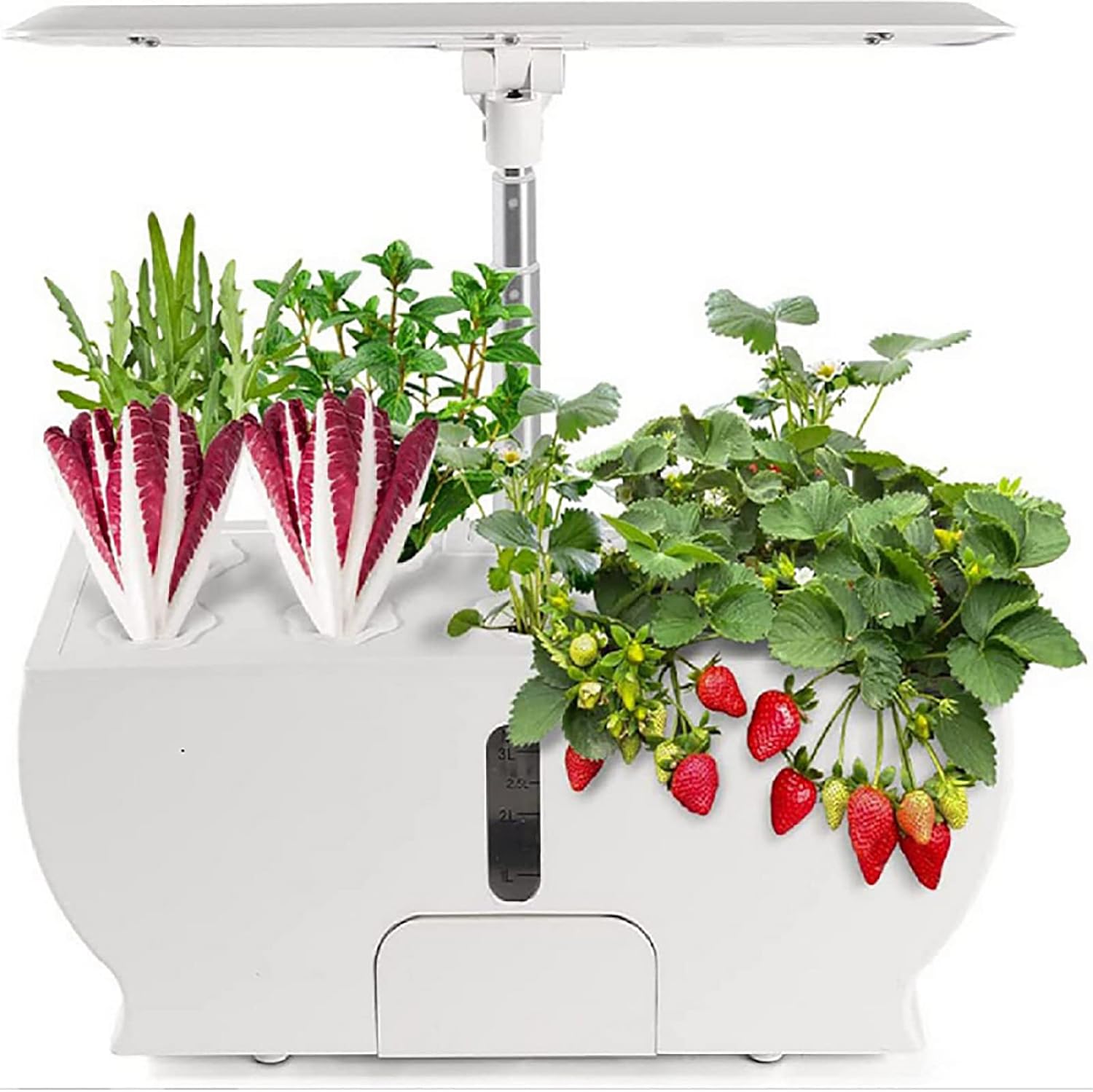 Hydroponics Growing System, Household Soilless Vegetable Planting ...