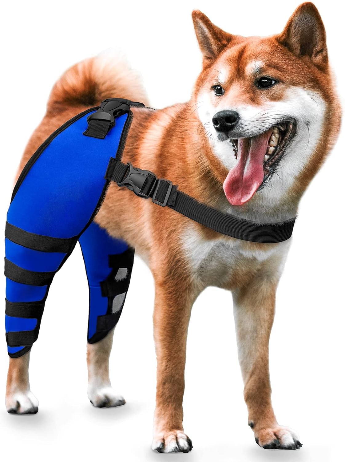 Amazon.com : MewMewLand Dog Knee Braces, ACL, CCL, Extra Support for ...