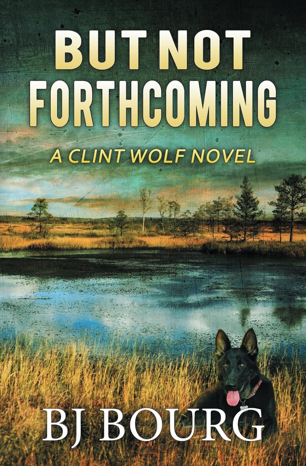 Amazon.com: But Not Forthcoming: A Clint Wolf Novel (Clint Wolf Mystery ...