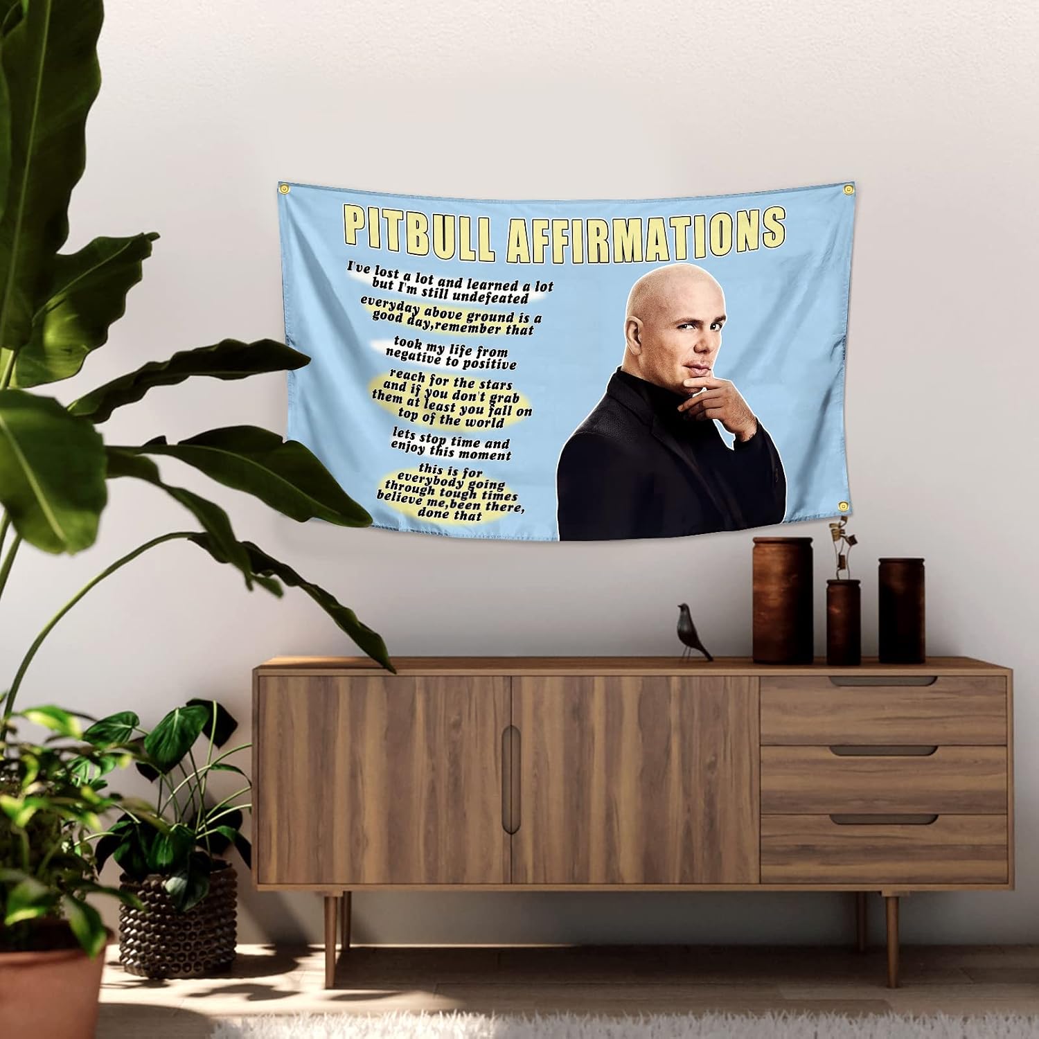 Bandera de Mr Worldwide Pitbull de 3 x 5 pies divertido póster de mano ...