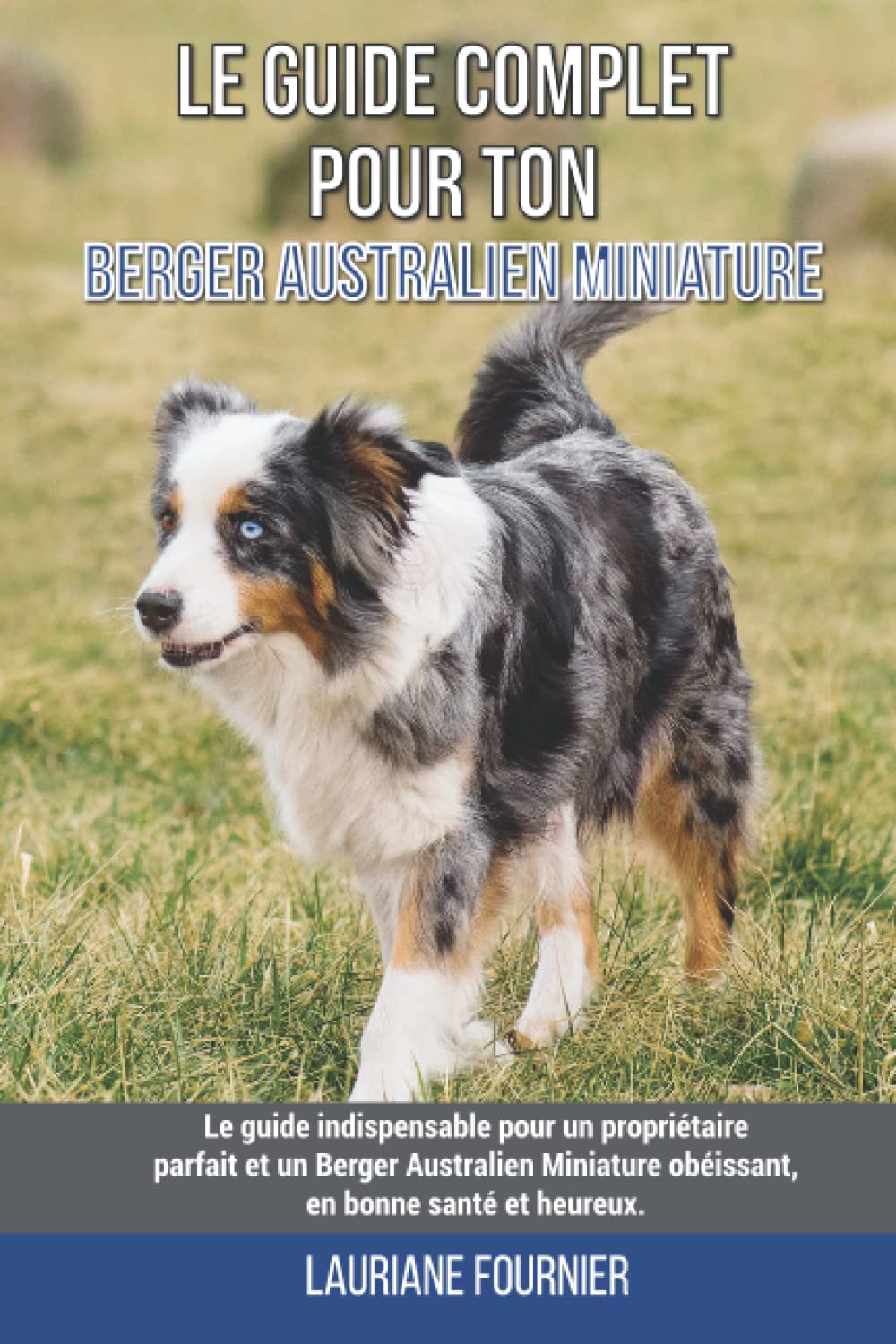 Tableau Des Tailles Du Berger Australien